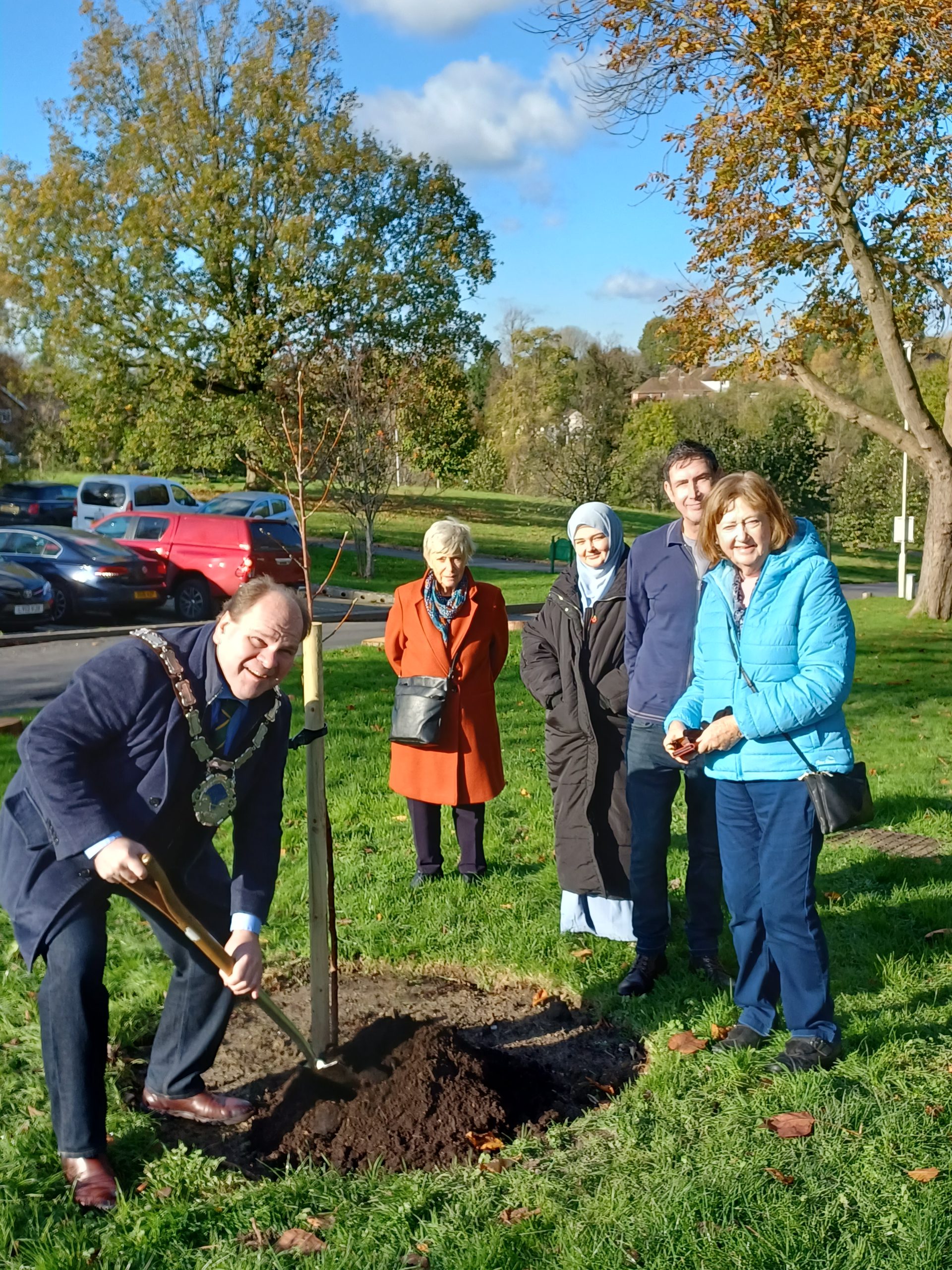 Queens Green Canopy Trees – East Grinstead Town Council
